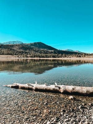 JUNE LAKE BEACH - Updated July 2025 - 26 Photos & 11 Reviews - June ...