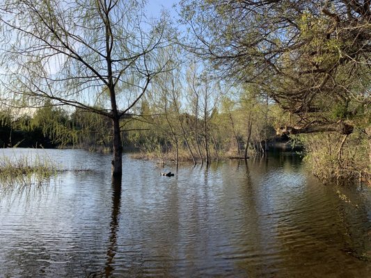 NILES COMMUNITY PARK - 204 Photos & 39 Reviews - 37697 3rd St, Fremont ...