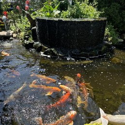 COOPERAGE INN - Updated December 2025 - 430 Photos & 413 Reviews - 2218 ...