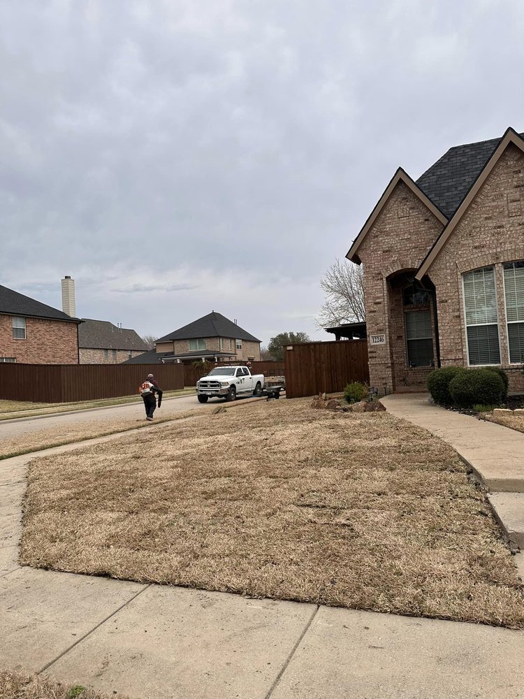 LG TREE SERVICES & LANDSCAPING - Updated July 2024 - 11 Photos - 9013 ...