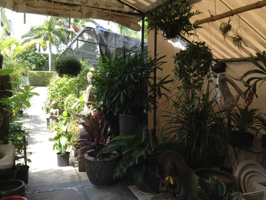 ALTON ROAD NURSERIES - Updated October 2025 - 20 Reviews - 1239 Alton ...