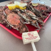CRABS TO GO - 171 Photos & 204 Reviews - 11247 Ocean Gateway, Berlin ...