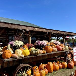 CHAZY ORCHARDS - Updated October 2025 - 9486 US Rte 9, Chazy, New York ...