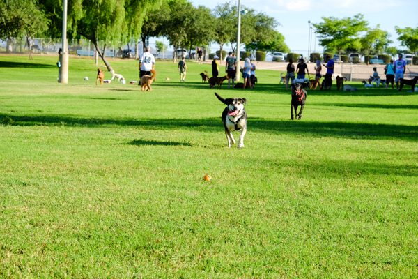 QUAIL RUN PARK - Updated May 2026 - 29 Photos & 43 Reviews - 4155 E ...