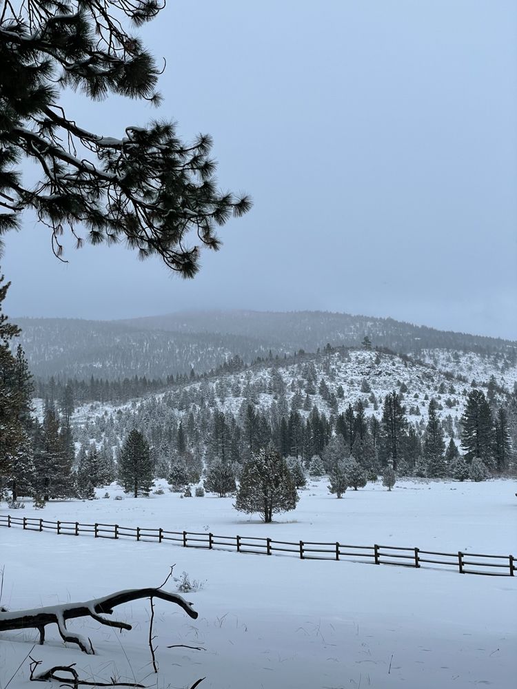 SUSANVILLE RANCH PARK - Updated September 2025 - 17 Photos - 707 nevada ...