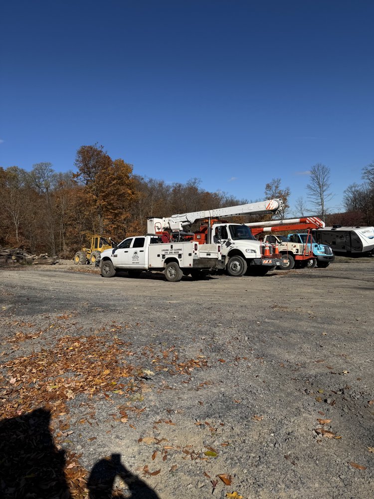 WEIR TREE CARE - Updated January 2026 - Request a Quote - Moravia, New ...