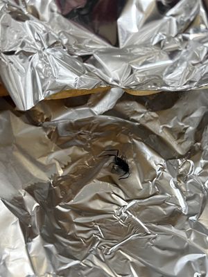 GRAND INDIAN KITCHEN - Updated December 2025 - 86 Photos & 117 Reviews ...