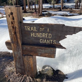 TRAIL OF 100 GIANTS - Updated December 2025 - 454 Photos & 69 Reviews ...
