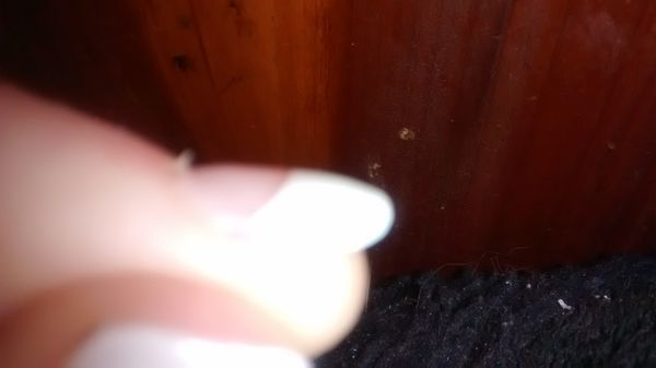 VIP NAILS & SPA - 39 Photos & 63 Reviews - 130 Station Dr, Anderson ...