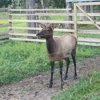 PHILLIPS PARK ZOO - Updated August 2024 - 233 Photos & 99 Reviews ...