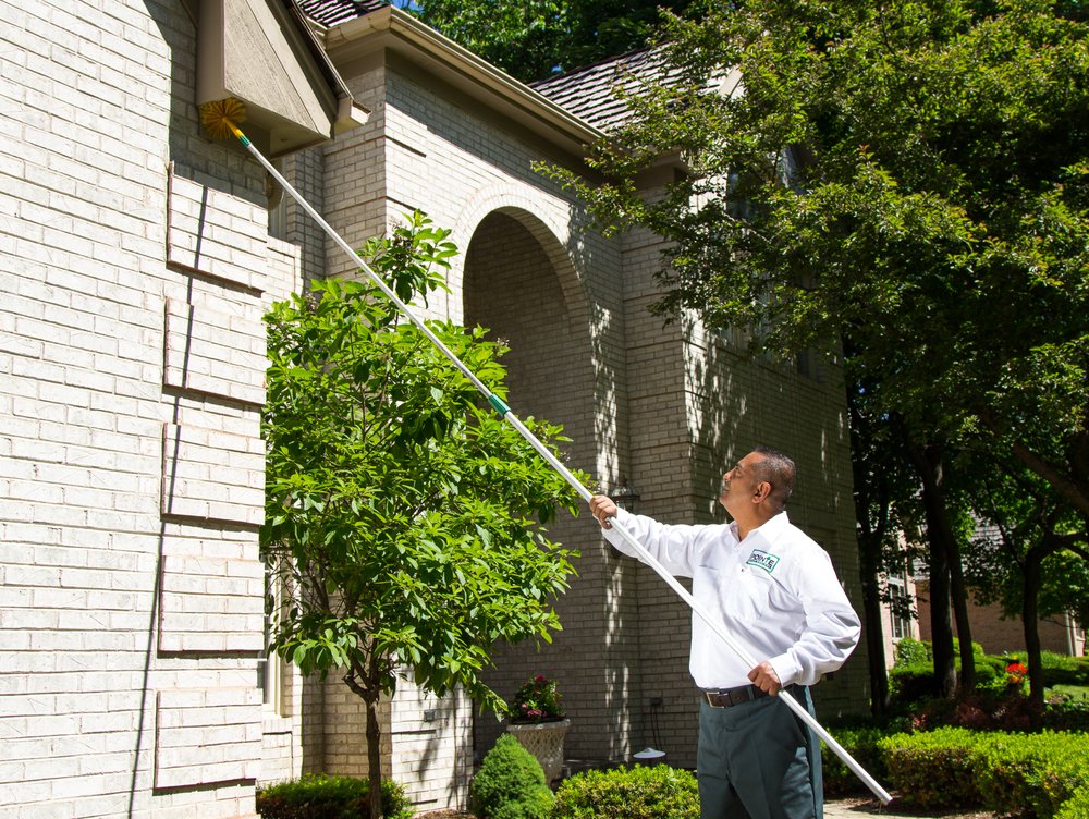 POINTE PEST CONTROL - Updated July 2025 - 101 N Hickory Ave, Arlington ...