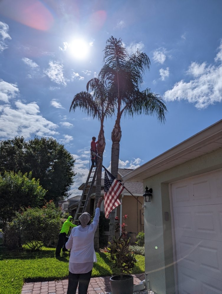 FRIENDLY TOUCH TREE SERVICE - 10 Photos - Merritt Island, Florida ...