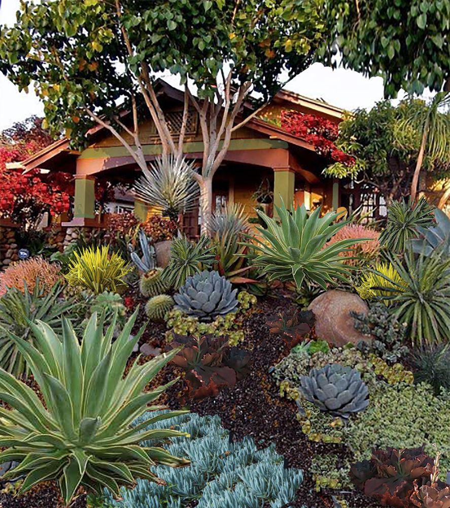 EDIFY LANDSCAPE DESIGN - Updated November 2025 - 22 Photos - Los ...