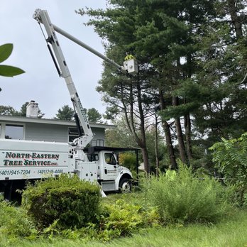 NORTH EASTERN TREE SERVICE - Updated December 2025 - 29 Photos & 104 ...