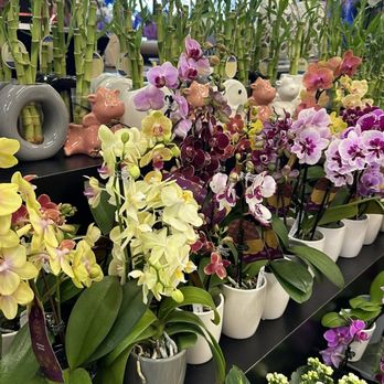 RALPHS - Updated July 2025 - 171 Photos & 263 Reviews - 6300 Irvine ...