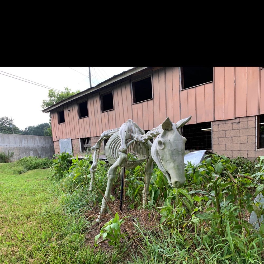 BRIARCLIFF STABLES & PONY PARTIES - Updated December 2024 - 13 Photos ...