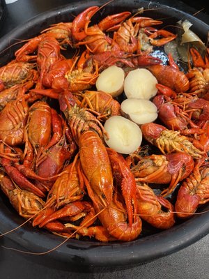 CAJUN CRITTERS - Updated December 2025 - 41 Photos & 30 Reviews - 6433 ...