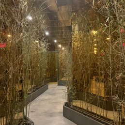 AIKO - Updated December 2024 - 1421 Photos & 261 Reviews - 1902 ...