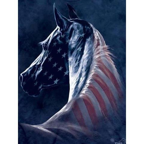 APPLIANCE REPAIR BY THOMPSON HANDYMAN SERVICE - 11848 Lake June Rd ...