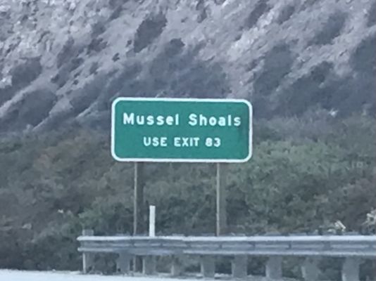 MUSSEL SHOALS - 31 Photos - Ventura, California - Beaches - Yelp