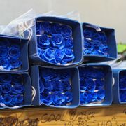 HUNTS POINT FLOWER MARKET - 37 Photos & 25 Reviews - 1152 Randall Ave ...