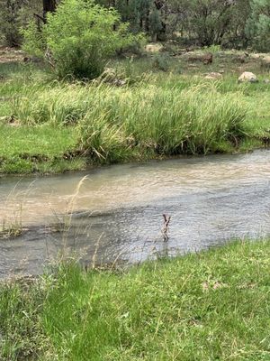 BLUE RIDGE CAVE TRAIL - Updated July 2024 - 39 Photos - 3103 Porter ...