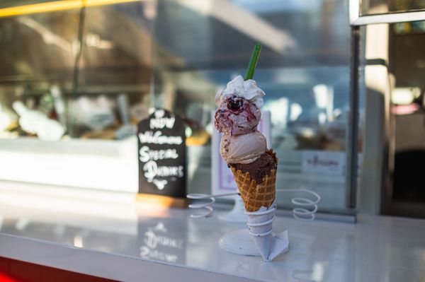 MILKISSIMO GELATO - Updated January 2025 - 298 Photos & 512 Reviews ...