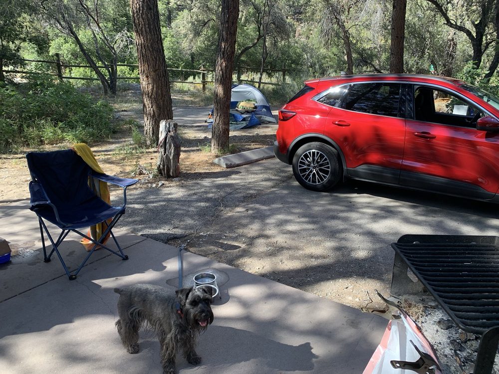 FLETCHER VIEW CAMPGROUNDS - Updated May 2026 - 57 Photos & 21 Reviews ...