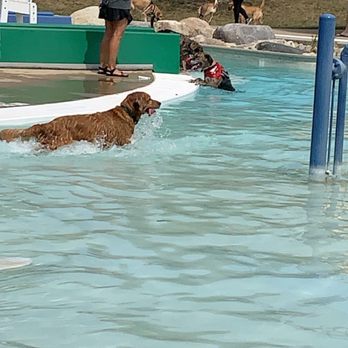 REED ROAD WATER PARK - Updated December 2025 - 17 Photos - 2000 ...