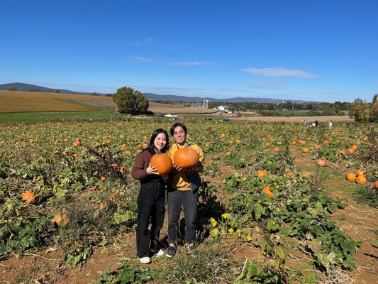 JUMBO’S PUMPKIN PATCH - Updated November 2025 - 60 Photos & 32 Reviews ...