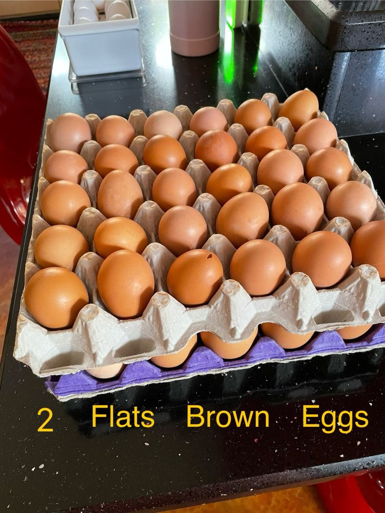 MAILI MOA - Updated January 2025 - 63 Photos & 45 Reviews - Maliona St ...