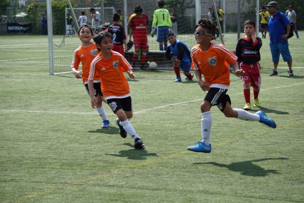 PREDATORS FOOTBALL CLUB - Updated September 2025 - 11 Photos - Flushing ...