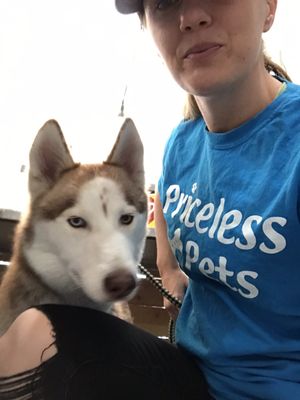 PRICELESS PET RESCUE - COSTA MESA - 48 Photos & 43 Reviews - 1536 ...