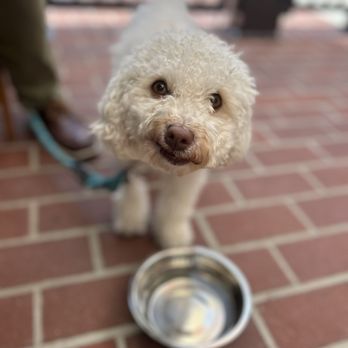 MAINZER - Updated March 2025 - 314 Photos & 337 Reviews - 655 W Main St ...