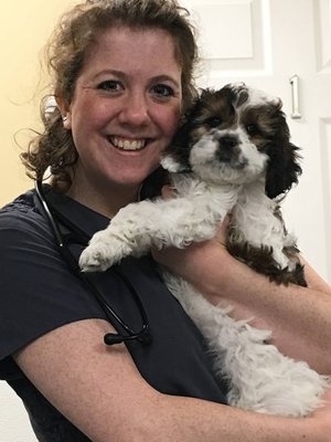 GREAT NECK VETERINARY CLINIC - Updated January 2026 - 16 Photos & 35 ...