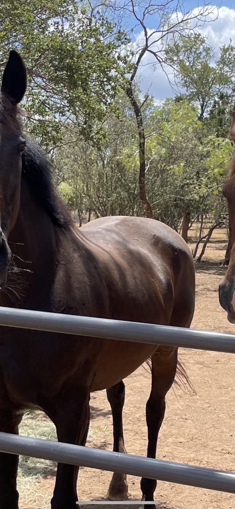 HOLLY CRAIG FLYING X RANCH - Updated October 2025 - 460 Flying X Rd ...