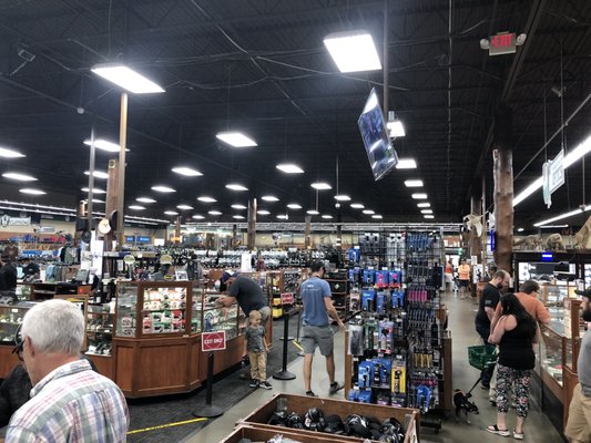 Green top hunt fish store