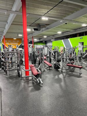 POWERHOUSE GYM - NEWTON - Updated October 2025 - 11 Nelson St, Newton ...