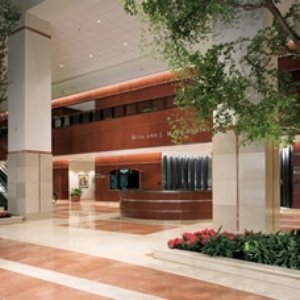 OPI - ATLANTA - Updated December 2025 - 27 Reviews - 2284 Peachtree Rd ...