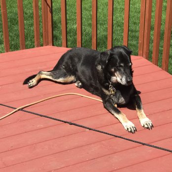 PREDMORE VETERINARY CLINIC - LAWRENCE M PREDMORE DVM - Updated December ...