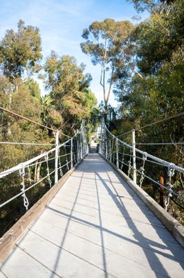 SPRUCE STREET SUSPENSION BRIDGE - Updated December 2025 - 974 Photos ...