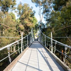 SPRUCE STREET SUSPENSION BRIDGE - 906 Photos & 353 Reviews - Spruce St ...