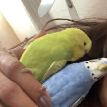 Magnolia Bird Farm - 77 Photos & 113 Reviews - Pet Stores - 12200 ...