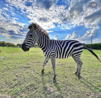 INDIAN SPRINGS RANCH - Updated November 2024 - 26 Photos - 403 Elm Way ...