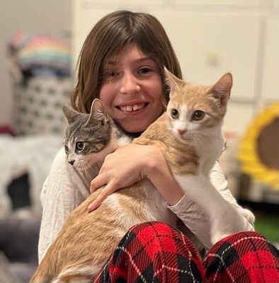 KITTEN RESCUE - Updated November 2025 - 54 Photos & 146 Reviews - 3519 ...