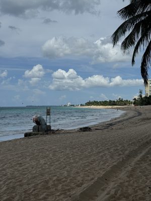 CONDADO DEL MAR - Updated December 2025 - 71 Photos & 12 Reviews - 1479 ...