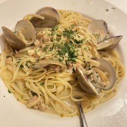 ALLEGRIA ITALIANA - Updated July 2025 - 293 Photos & 352 Reviews - 518 ...