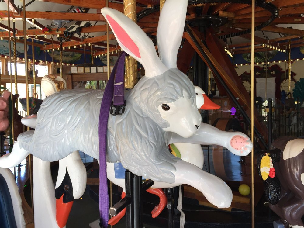 CAROUSEL OF HAPPINESS - 81 Photos & 48 Reviews - Arts & Entertainment ...