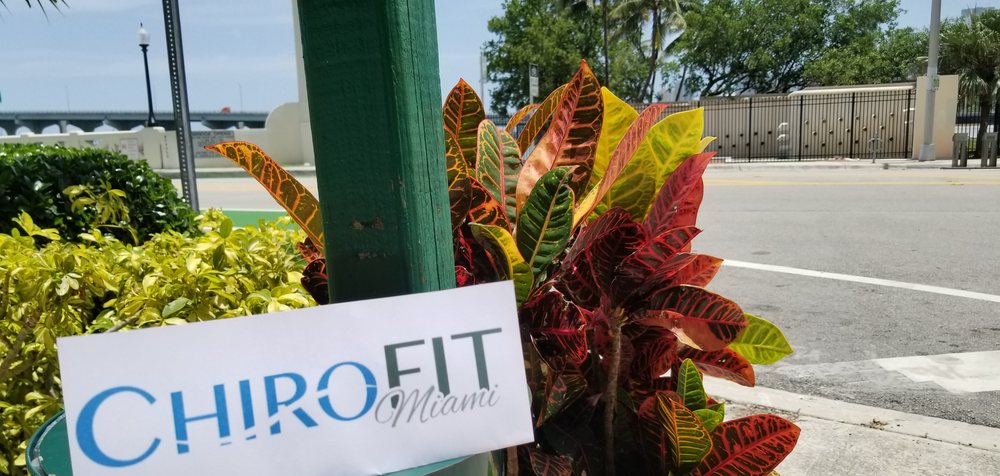 CHIROFIT MIAMI - 12 Photos - 1717 N Bayshore Dr, Miami, FL - Yelp