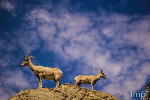 SILVERROCK GOLF RESORT - Updated June 2025 - 111 Photos & 120 Reviews ...